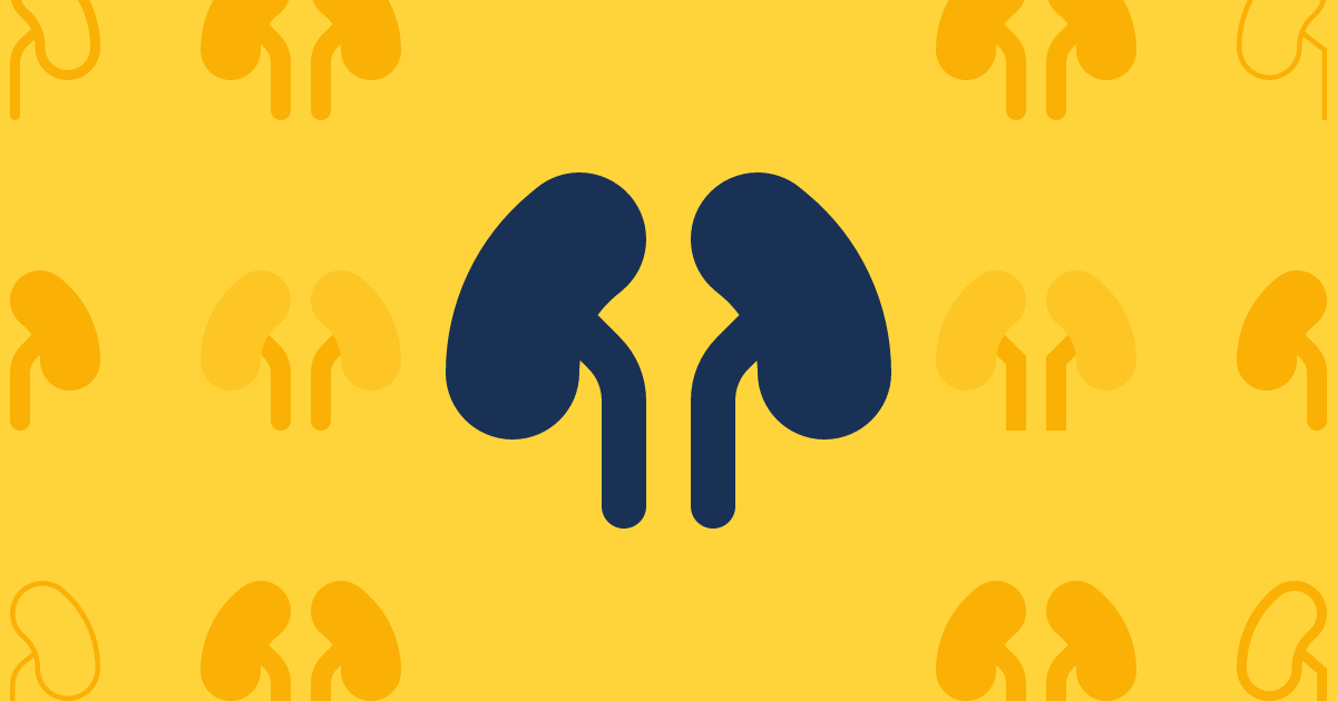 Kidneys Regular Icon | Font Awesome
