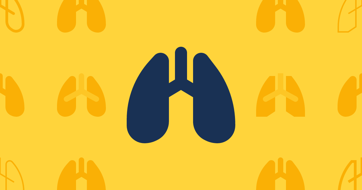Lungs Solid Icon | Font Awesome